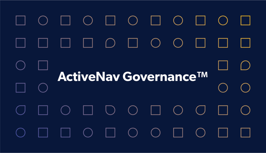 ActiveNav Governance™